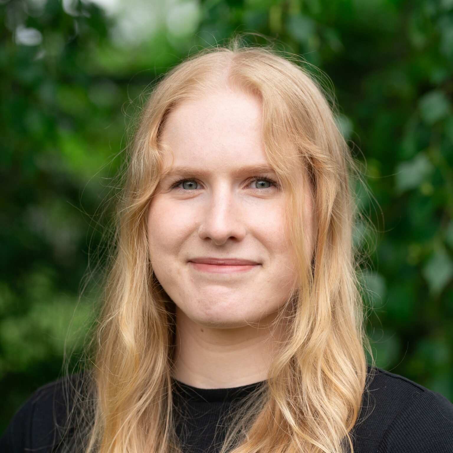 Maves: Keskkonnakorraldus- ja konsultatsioonifirma